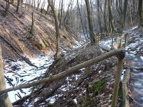 Túraajánló Csákányospuszta Mária Szakadék Körtvélyesi Erdei Temető Vitányvár 2011